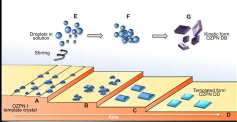 Schematic Of The Proposed Nucleation Process Of Ozpn Dd On The Surface