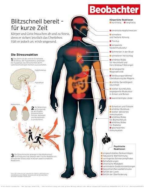 Körper Im Alarmzustand Beobachter