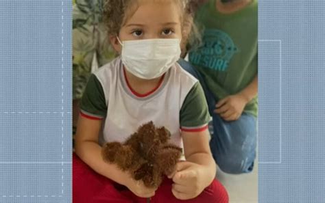 Criança De 5 Anos Morre Atingida Por árvore Cortada Pelo Tio Alagoas
