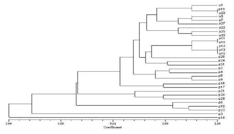 Figure2 Upgma Dendrogram Based On The Dice Similarity Coefficient