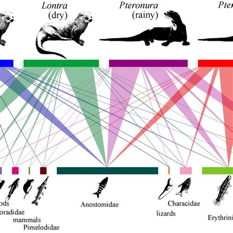 Bipartite Network Diagram Representing The Predator Prey Interactions