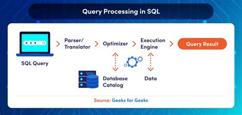 sql guide for beginner data scientists and developers