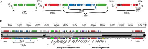 Frontiers Comparative Analysis Reveals The Modular Functional