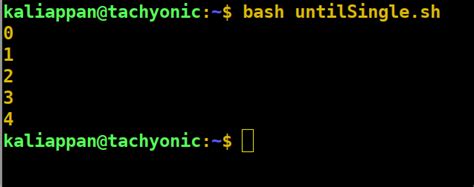 bash scripting until loop geeksforgeeks