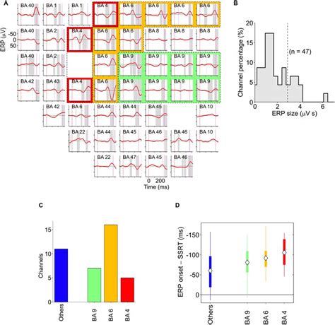 Spatiotemporal Distribution Of Stop Event Related Potentials Erps In