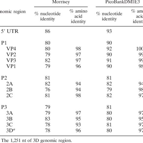 Nucleotide And Amino Acid Sequence Identities Between Lr31g7 Echo3