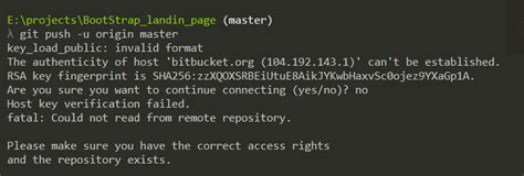 cannot push my git project to empty repository in