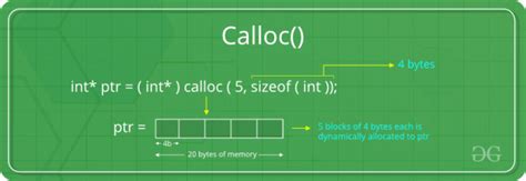 dynamic memory allocation in c using malloc calloc free and