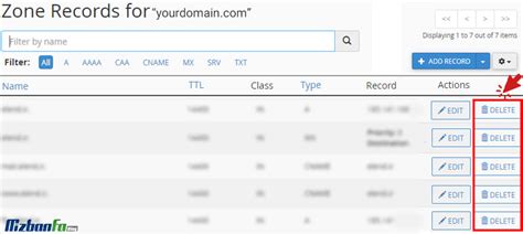 How To Set Domain Dns Records In Cpanel Ded9