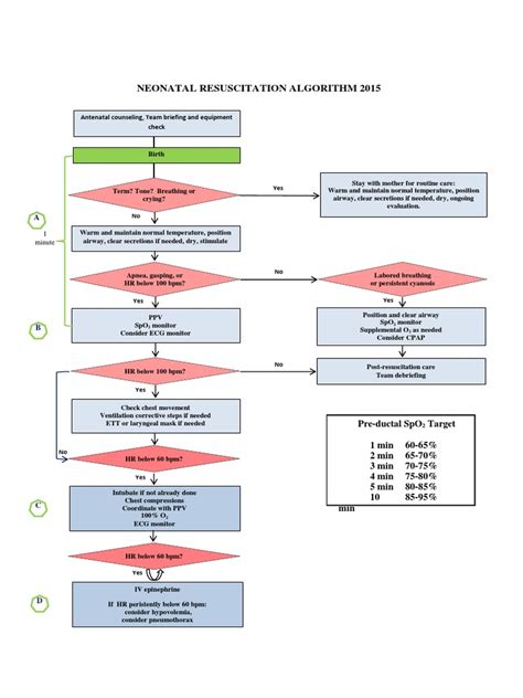 Neonatal Resuscitation Algorithm 2015 1 Minute Pdf Cardiopulmonary