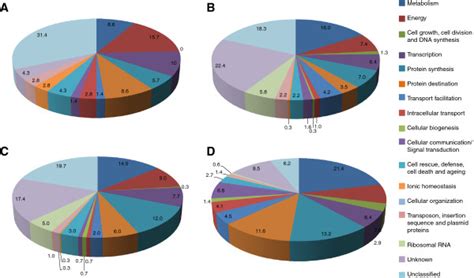 Functional Categorization Of Potential New Phakopsora Pachyrhizi