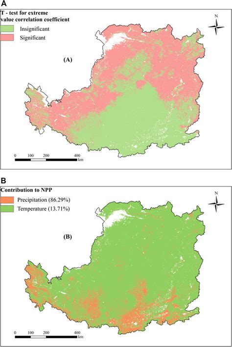 Frontiers Evolution Of Spatiotemporal Patterns In Vegetation Net