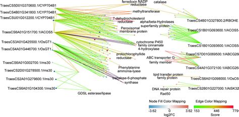 Frontiers Combined Transcriptome And Proteome Analysis Of Anthers Of