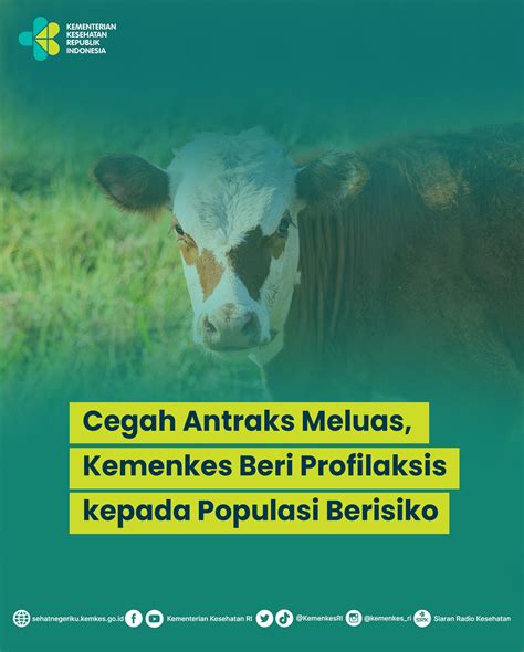 Kementerian Kesehatan Ri On Twitter Hi Healthies Antraks Kembali