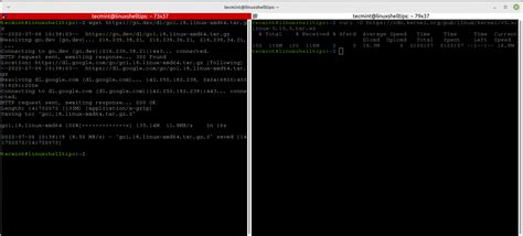 what is the difference between curl vs wget commands
