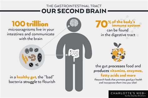 Secret Immunity Gut Health Part 1 Discover Chiropractic