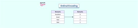 ordinal encoding scaler topics
