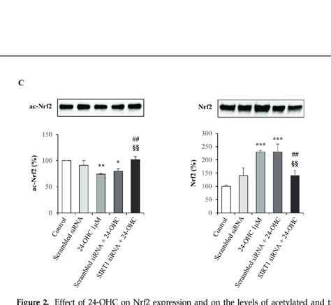 Effect Of 24 Ohc On Nrf2 Expression And On The Levels Of Acetylated And