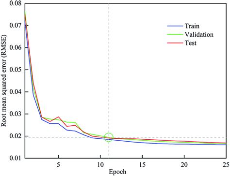 Training Validation And Test Root Mean Squared Error Rmse Download