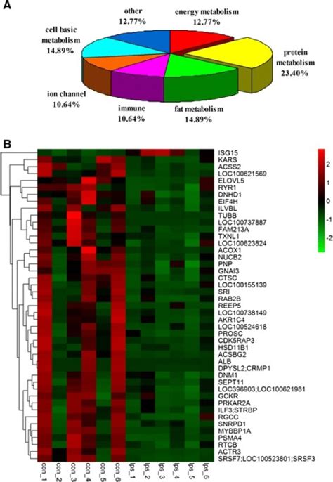 The Classification And Heat Map Of Distinct Proteins In Open I