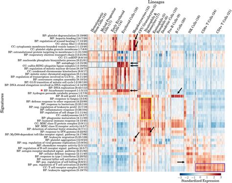 Validation Of Go Pca Using A Dataset Of 211 Human Transcriptomes