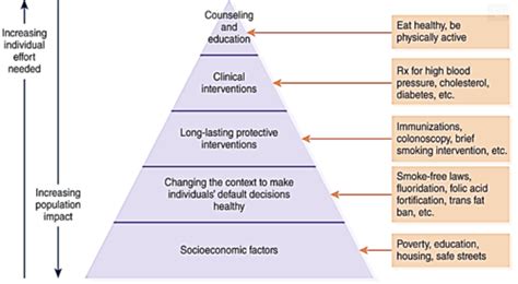 Structural And Social Determinants Of Health Flashcards Quizlet