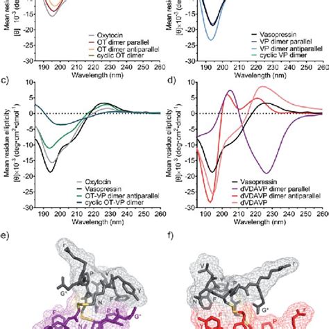 Cd Spectra Of Homo And Heterodimeric Constructs And In Silico Models Of