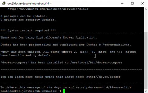 creating a new digital ocean droplet python for undergraduate engineers