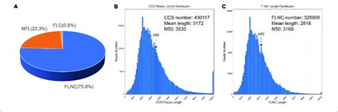 Summary Of Pacbio Smrt Sequencing A The Classification Of Circular