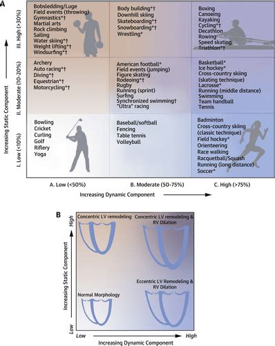 Exercise Induced Cardiovascular Adaptations And Approach To Exercise