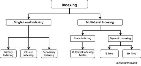 Primary Indexing In Dbms