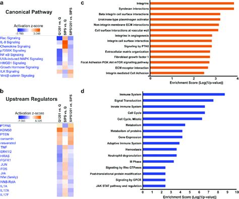 Analysis Of Pathways And Upstream Regulators Affected By 1201