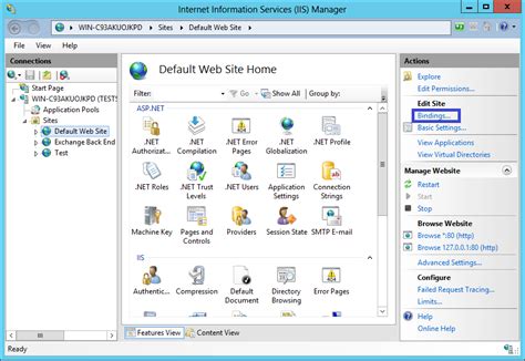 how to install a wildcard ssl certificate on iis csr install and binding