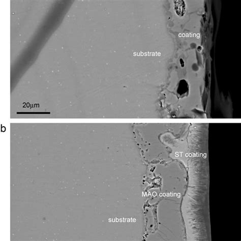Cross Section Morphologies Of The Coatings A Mao Coating And B