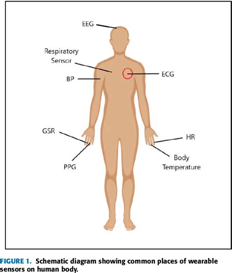 Figure 1 From A Review On Mental Stress Detection Using Wearable