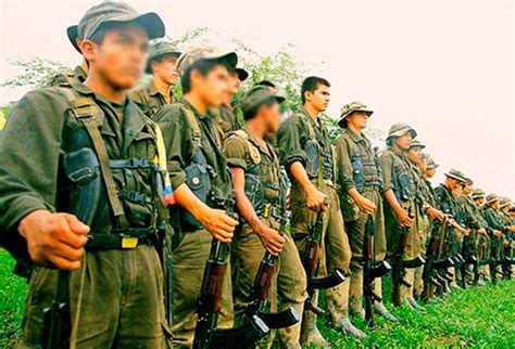 Más De 40 Mil Niños Fueron Reclutados Por Las Farc Alerta Paisa