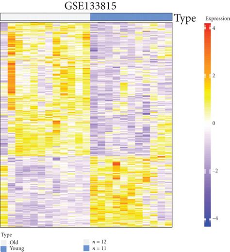 The Gene Expression Profiles Of Young And Aging Livers Heatmaps Were