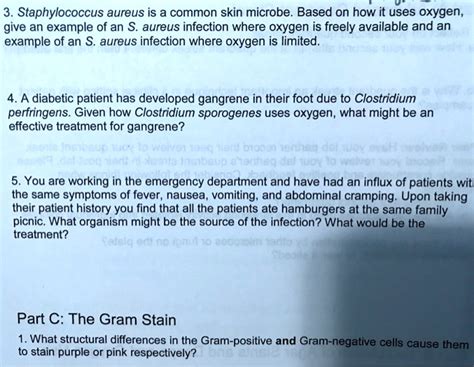 Solved 3 Staphylococcus Aureus Is A Common Skin Microbe Based On How