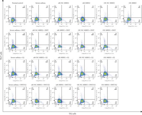 Effects Of Dht E2 And Dht E2 On Differentiation And Expression Of