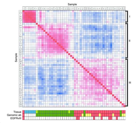 Correlation Plot Of All Samples Samples Are Plotted Against Each Other