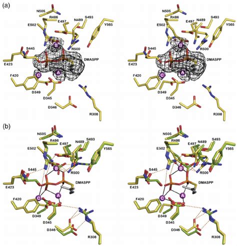 A Simulated Annealing Omit Maps Of The Pcisps Dmaspp Complex Showing