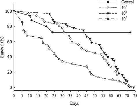 Scielo Brasil Sublethal Effect Of Concentrations Of Metarhizium