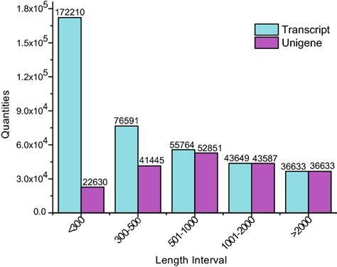 The Length Distribution Of Transcripts And Unigenes Download