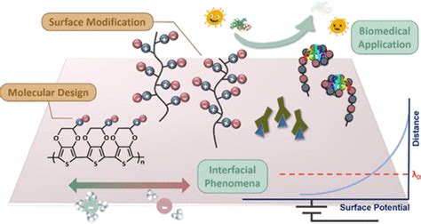 Zwitterionic Conducting Polymers From Molecular Design Surface