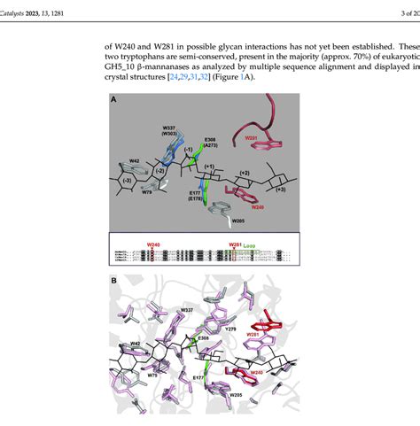 The Active Site Cleft Of Meman5a A Structural Superimposition