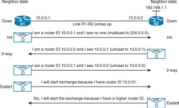building the link state database ospf implementation