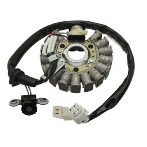 Stator D Allumage Top Performances Pour Scooter Mbk 125 Thunder 2001 à