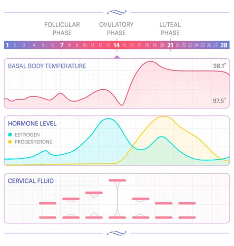 femometer smart fertility tracker indiegogo