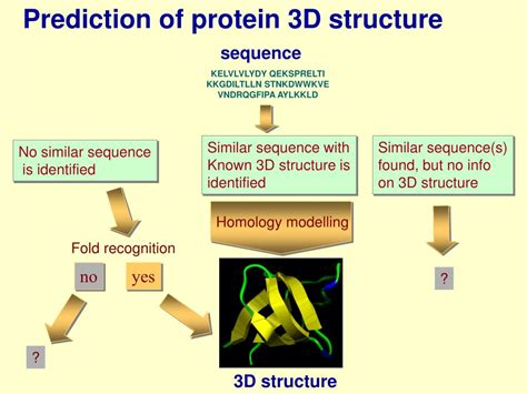 Predict 3d Structure Of Protein From Sequence At Rebecca Moore Blog