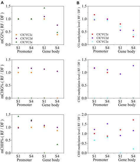 Comparative Analysis Of Dna Methylation In The Different Sequence